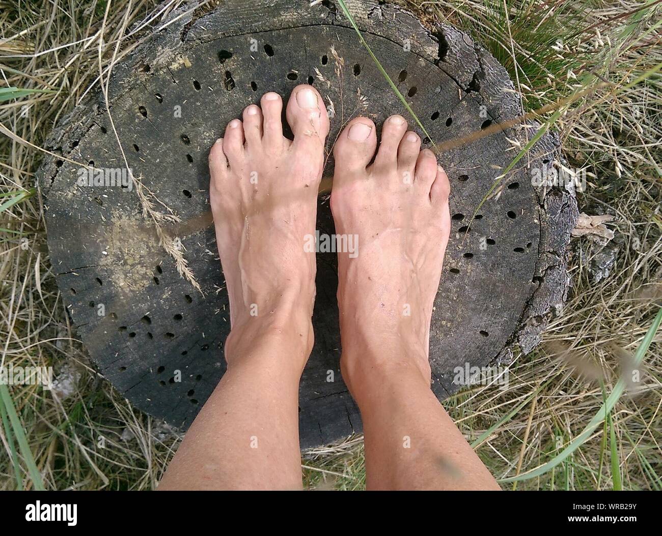 Overhead shot high angle hi-res stock photography and images - Alamy