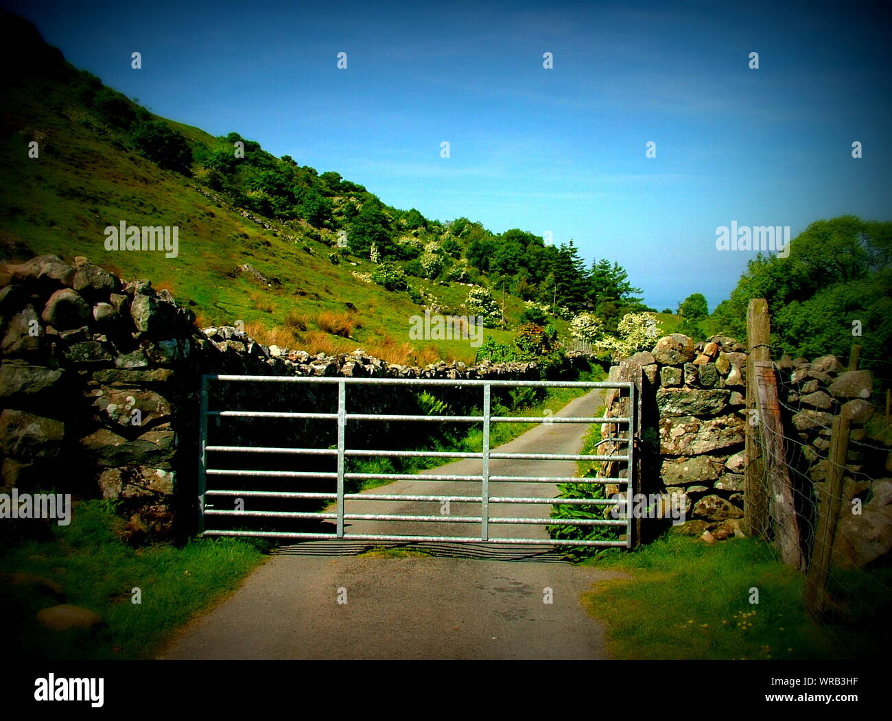 Country road gate hi-res stock photography and images - Alamy