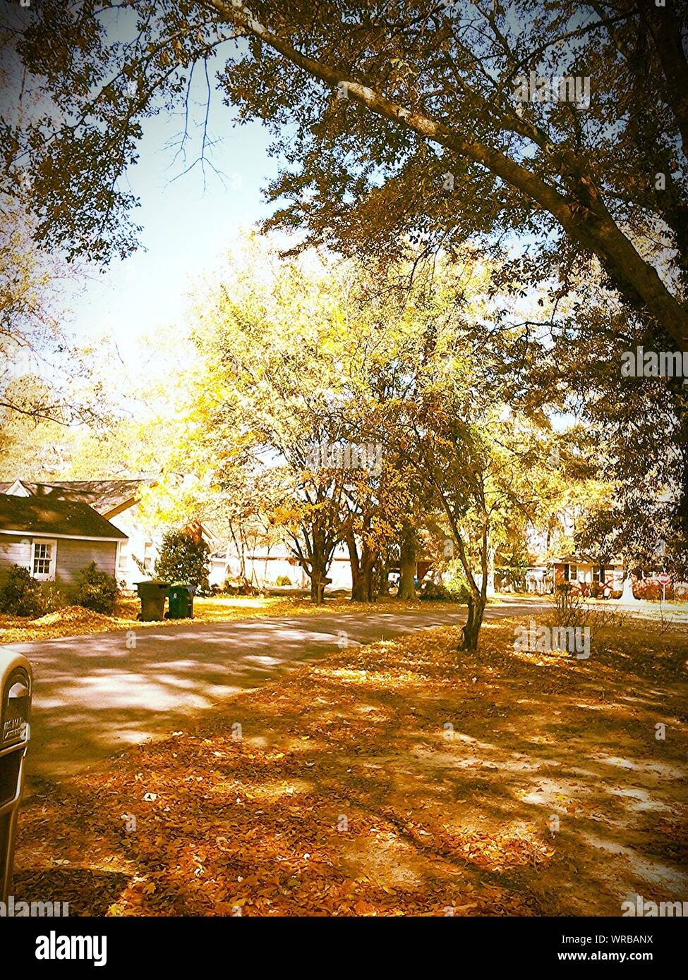 Country Road Amidst Trees Stock Photo - Alamy Country Road Amidst Trees Stock Photo - Alamy