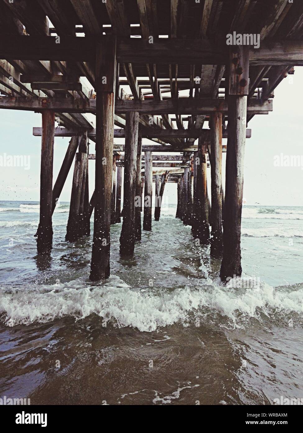 Underneath sea hi-res stock photography and images - Alamy