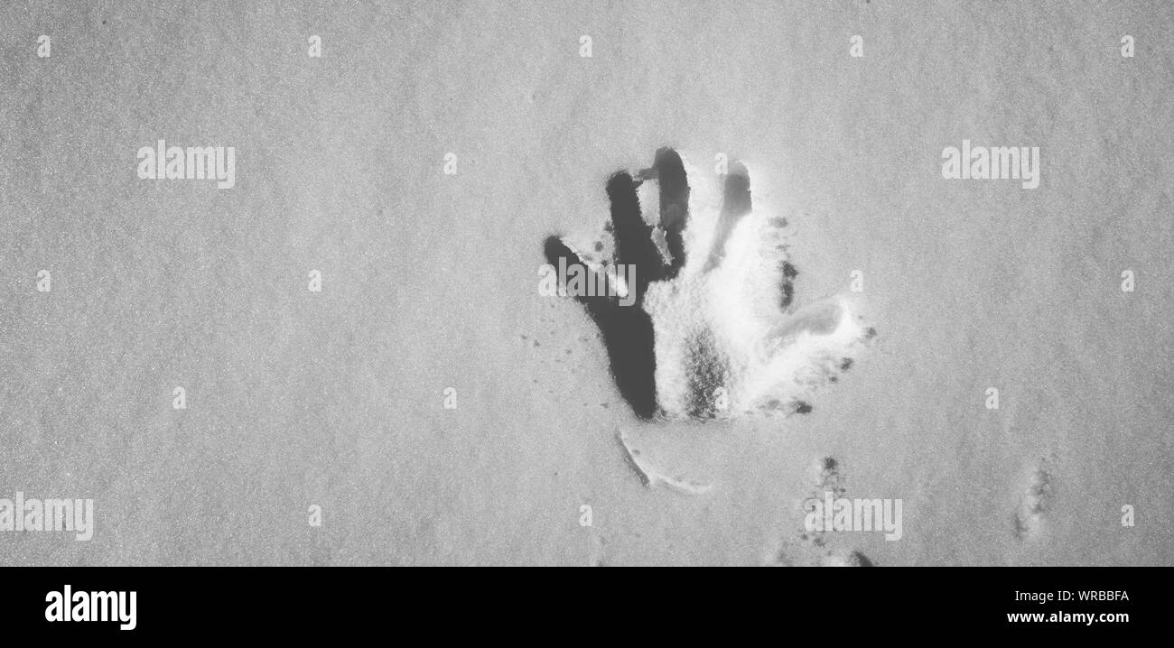 Human imprint on nature hi-res stock photography and images - Alamy