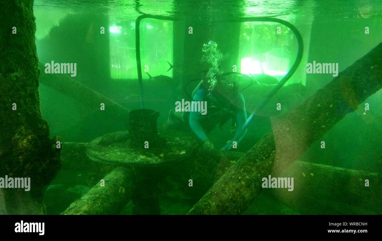Working underwater hi-res stock photography and images - Alamy