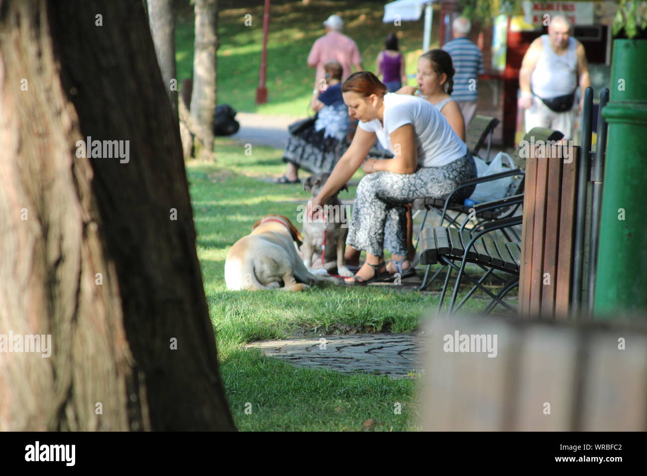 Images from park hi-res stock photography and images - Alamy