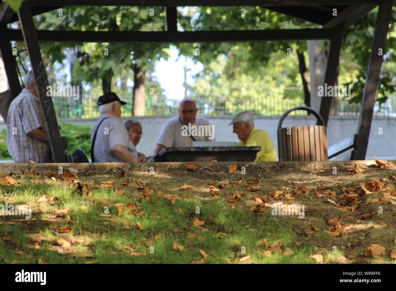 Pictures of the park at the beginning of autumn hi-res stock ...