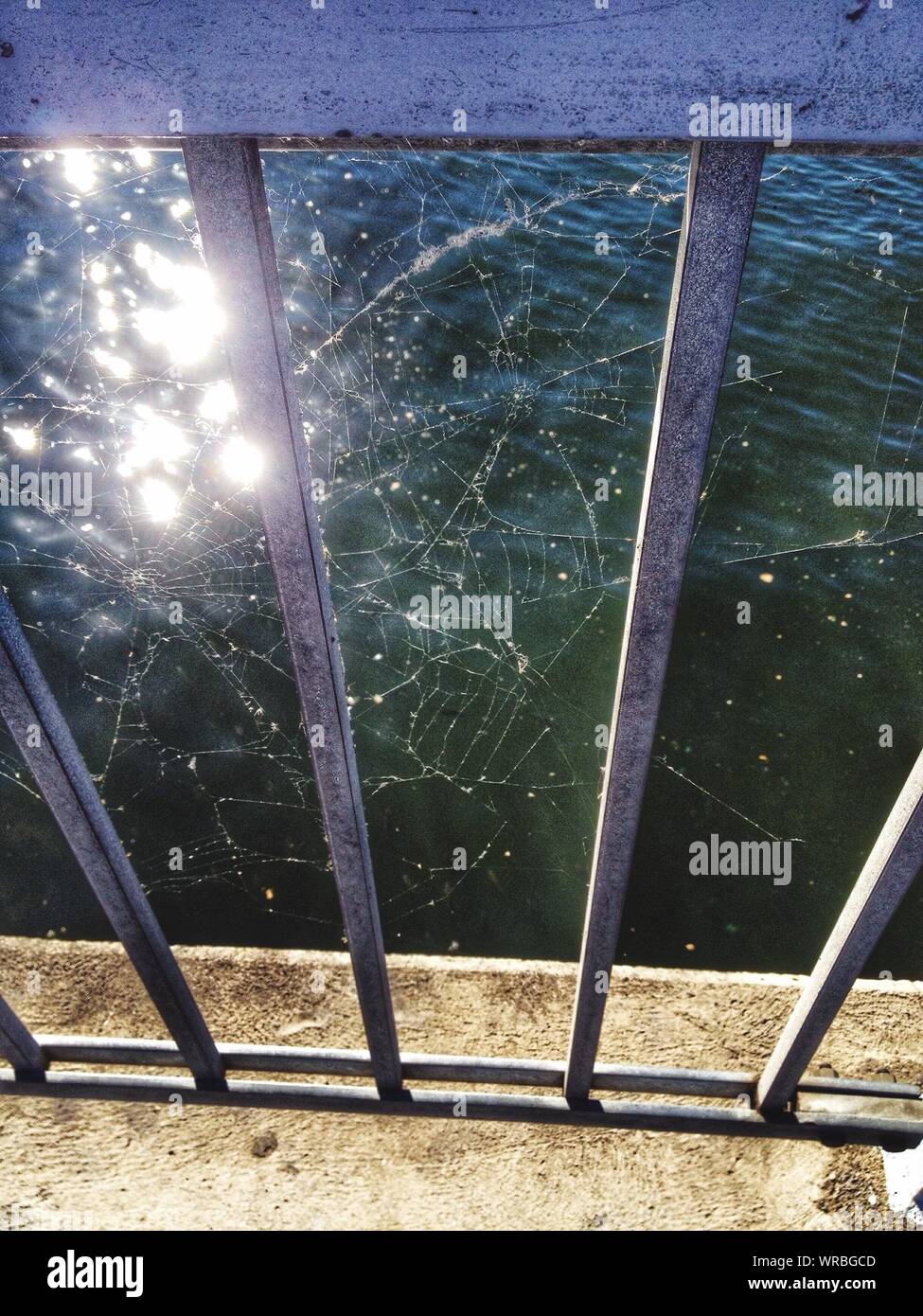 Spider webs in nature hi-res stock photography and images - Alamy