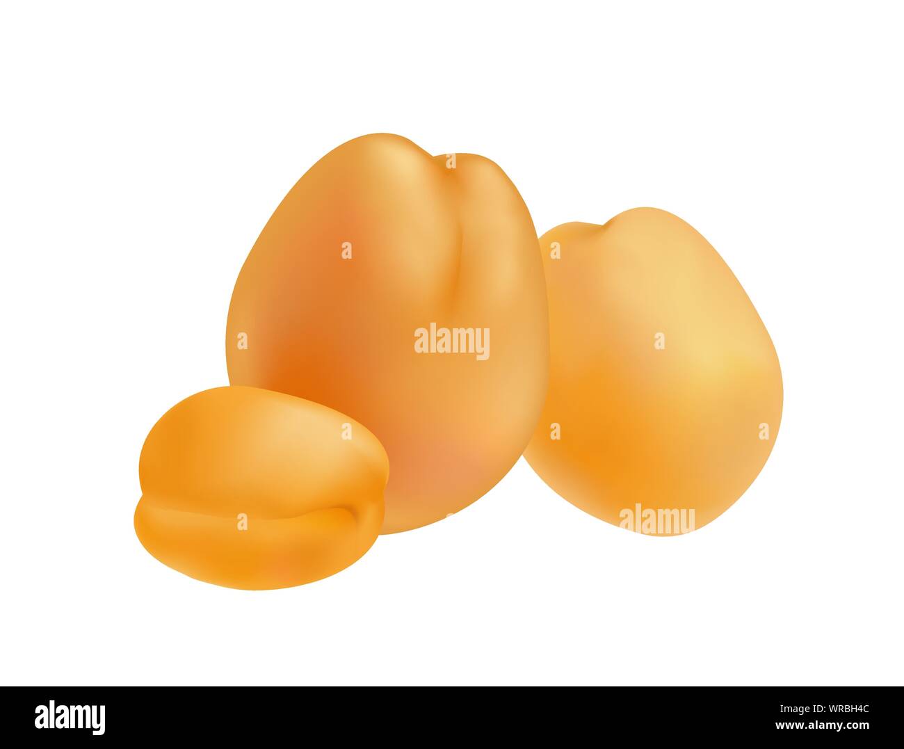 Set of ripe realistic apricots. Vector illustration of fresh juicy ...