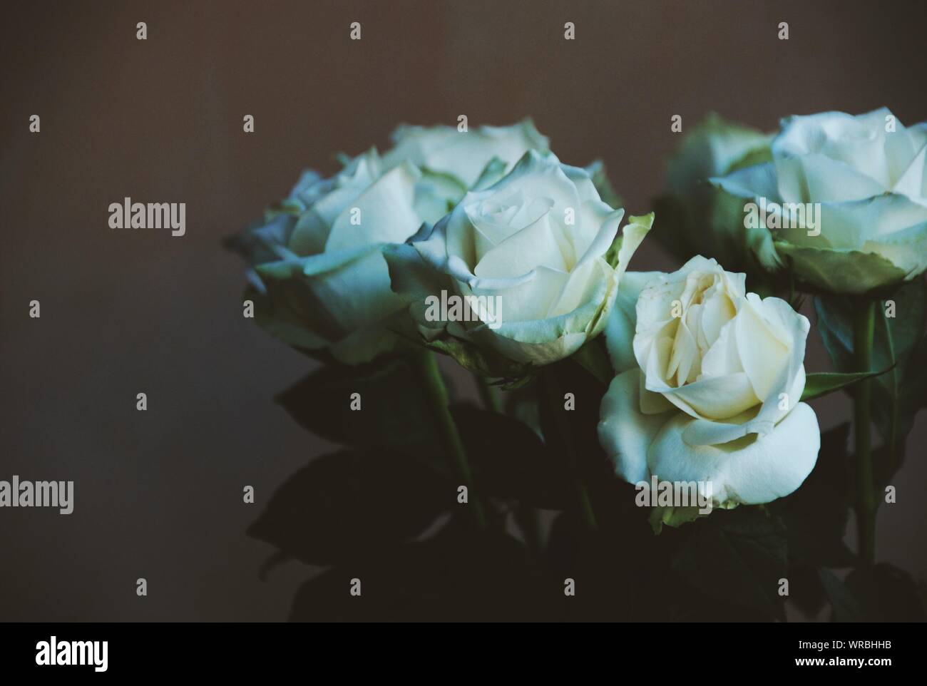 Bunch Of White Roses Stock Photo - Alamy