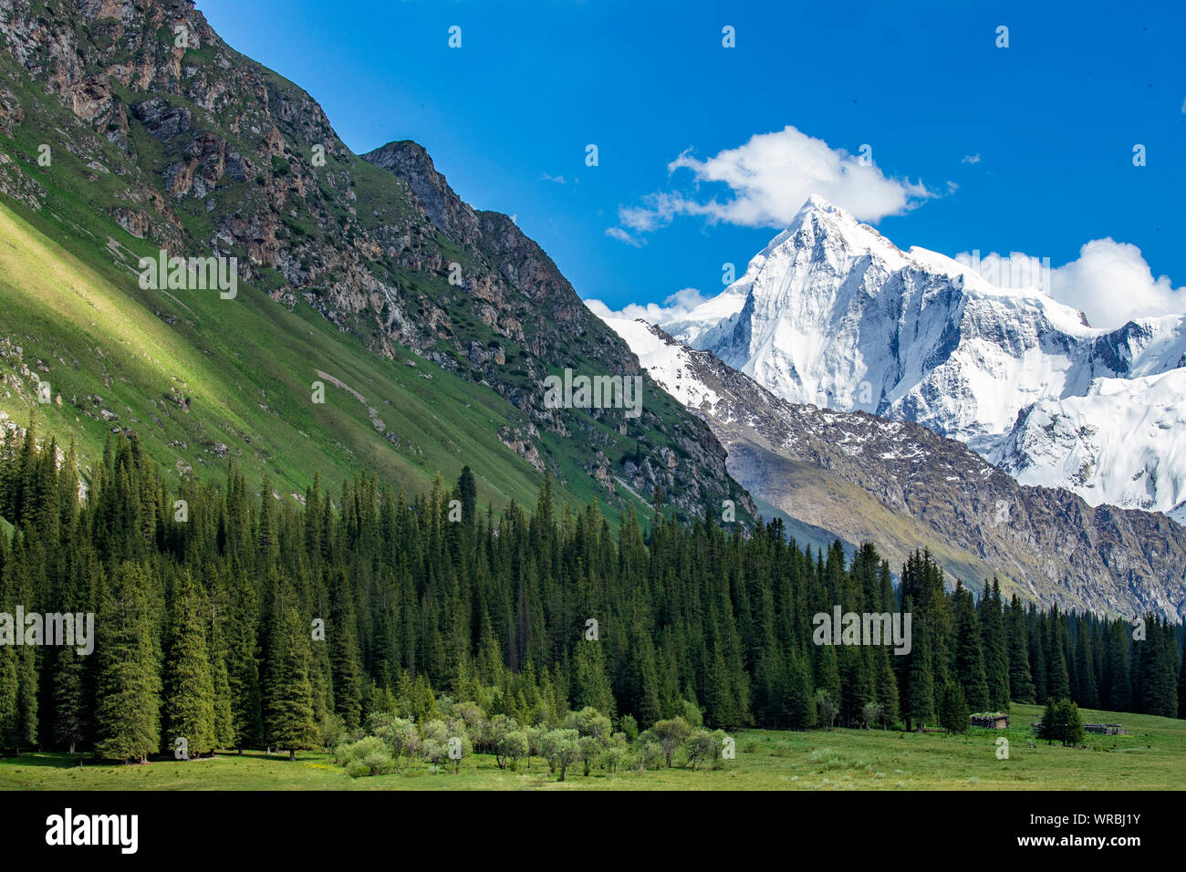 Tian Shan Mountain Range Tian Shan Mountains. Mountains In The Heart