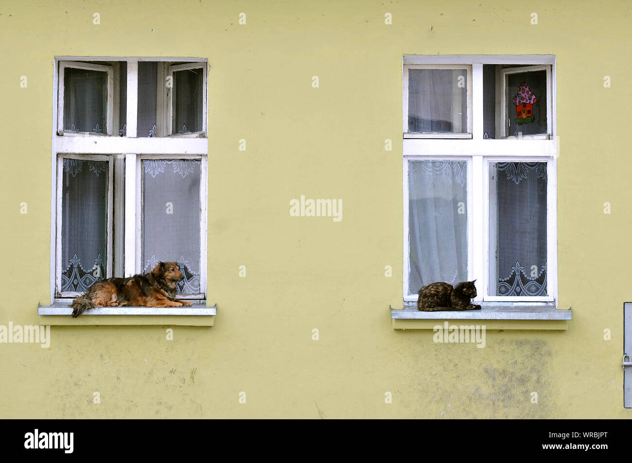 Exterior Window Sills High Resolution Stock Photography and Images - Alamy