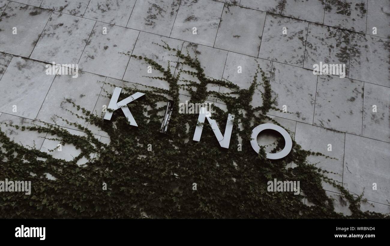 The ivy sign hi-res stock photography and images - Alamy