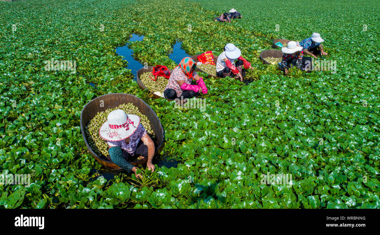 This aerial view shows Chinese villagers sitting in wooden basins ...