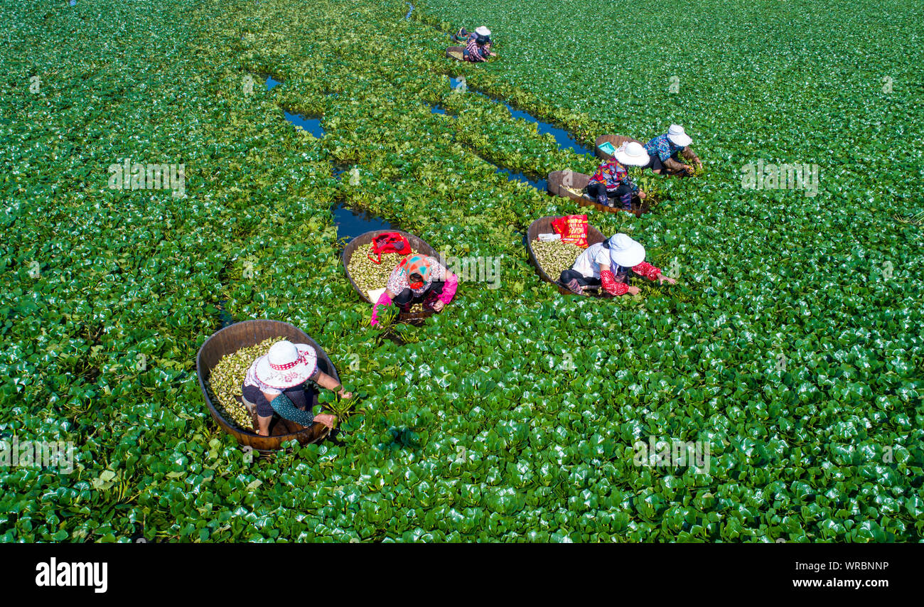 This aerial view shows Chinese villagers sitting in wooden basins ...