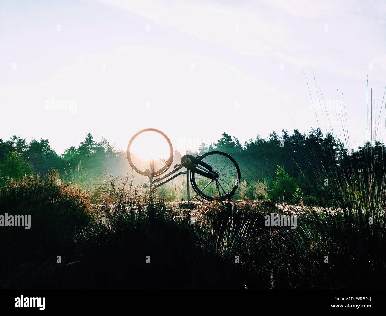 Upside Down Bicycle High Resolution Stock Photography and Images - Alamy