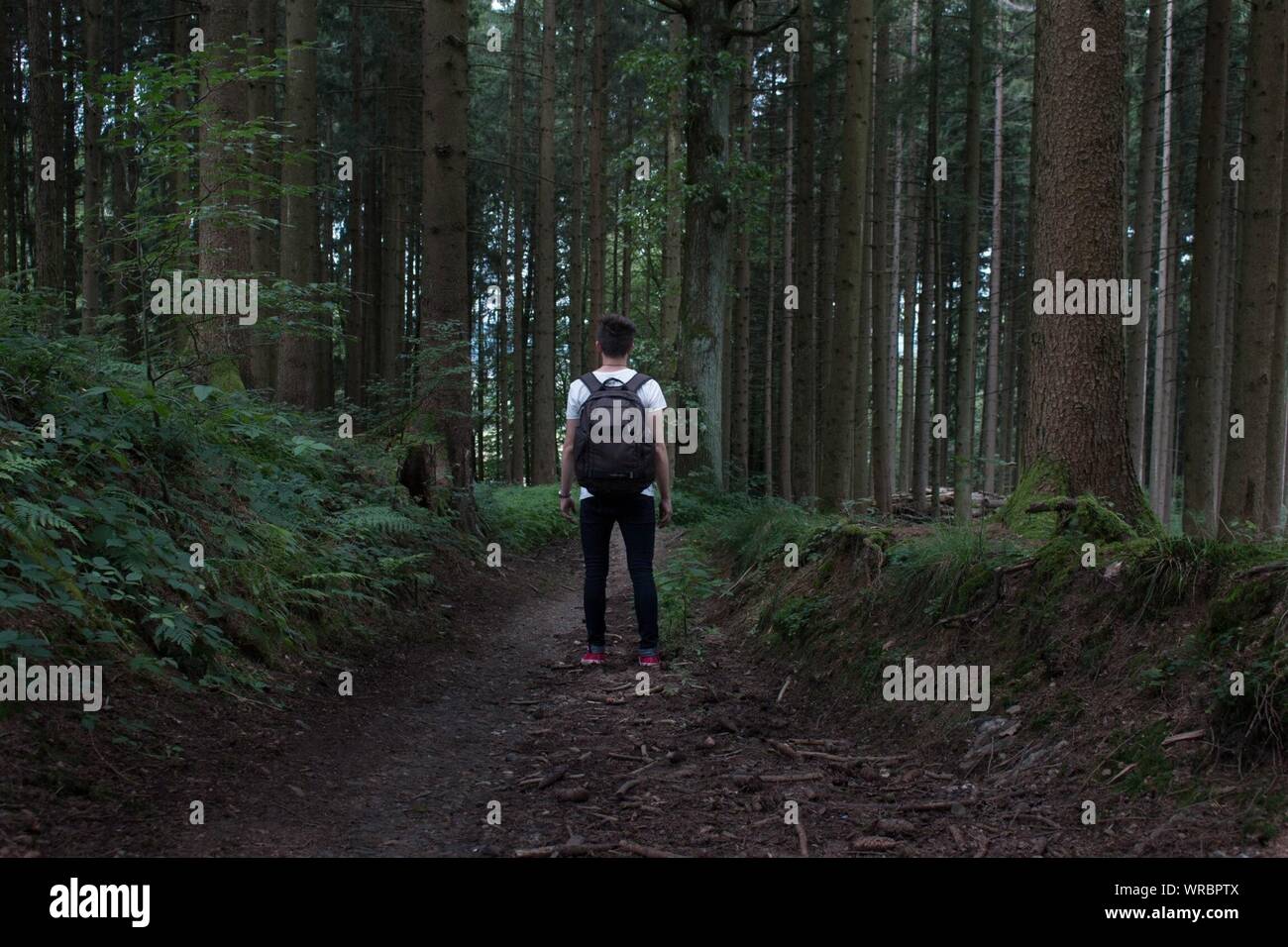 Man carrying tree trunk hi-res stock photography and images - Alamy