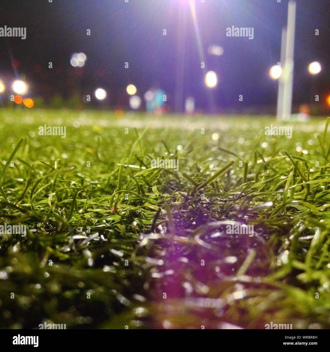 Beam of light grass hi-res stock photography and images - Alamy