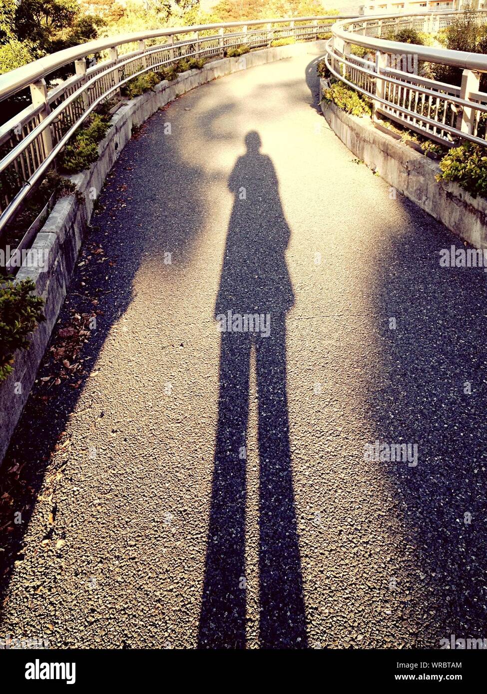 The cast of the way hi-res stock photography and images - Alamy