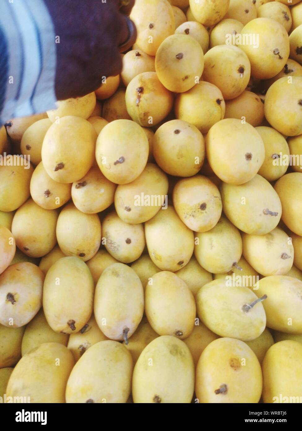Human hand mangoes mango fruit hi-res stock photography and images - Alamy
