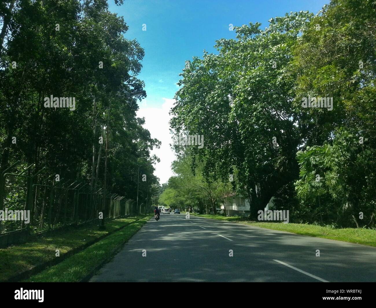 Shadow under the tree hi-res stock photography and images - Alamy