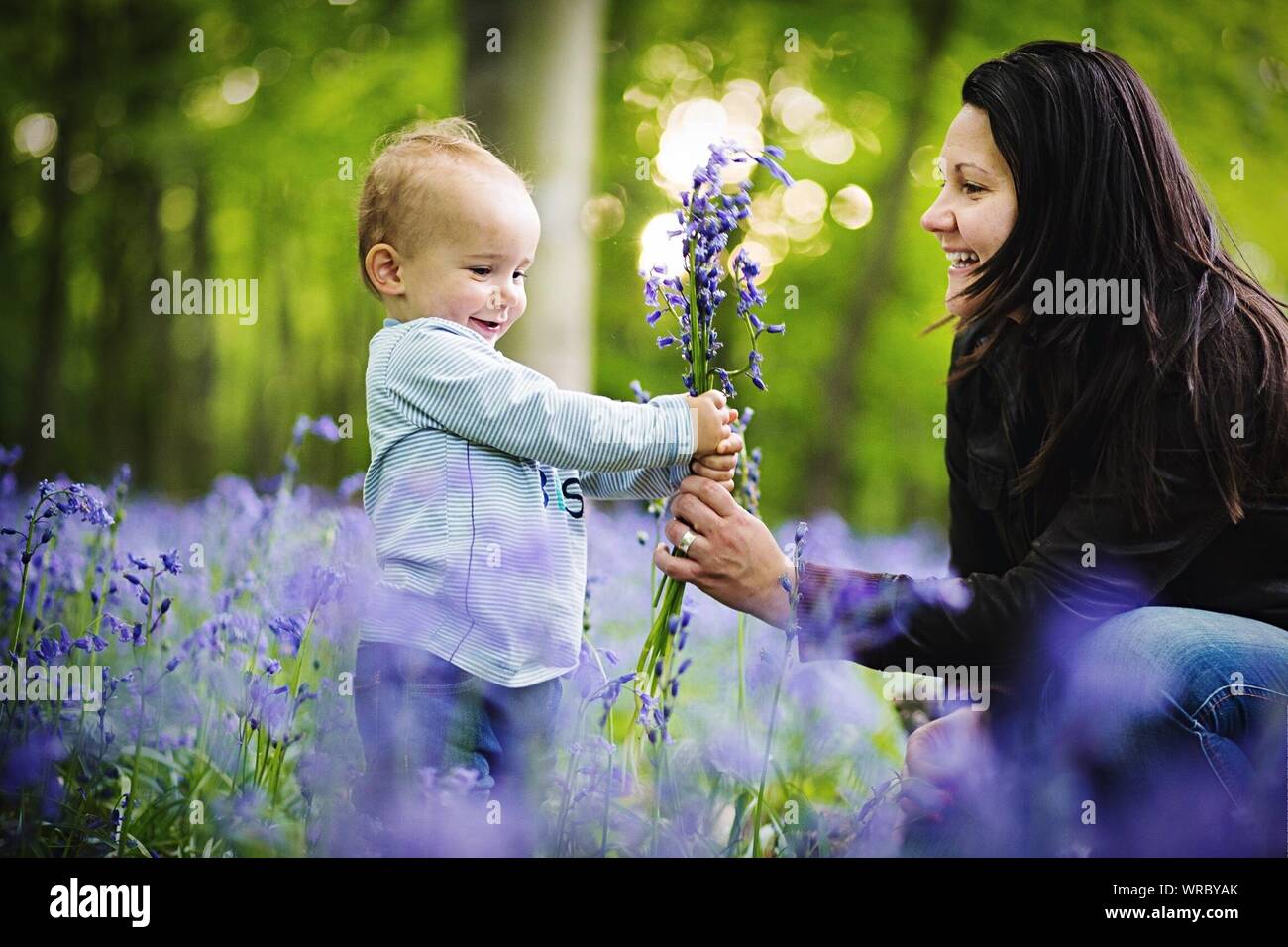 Child giving flowers hi-res stock photography and images - Alamy