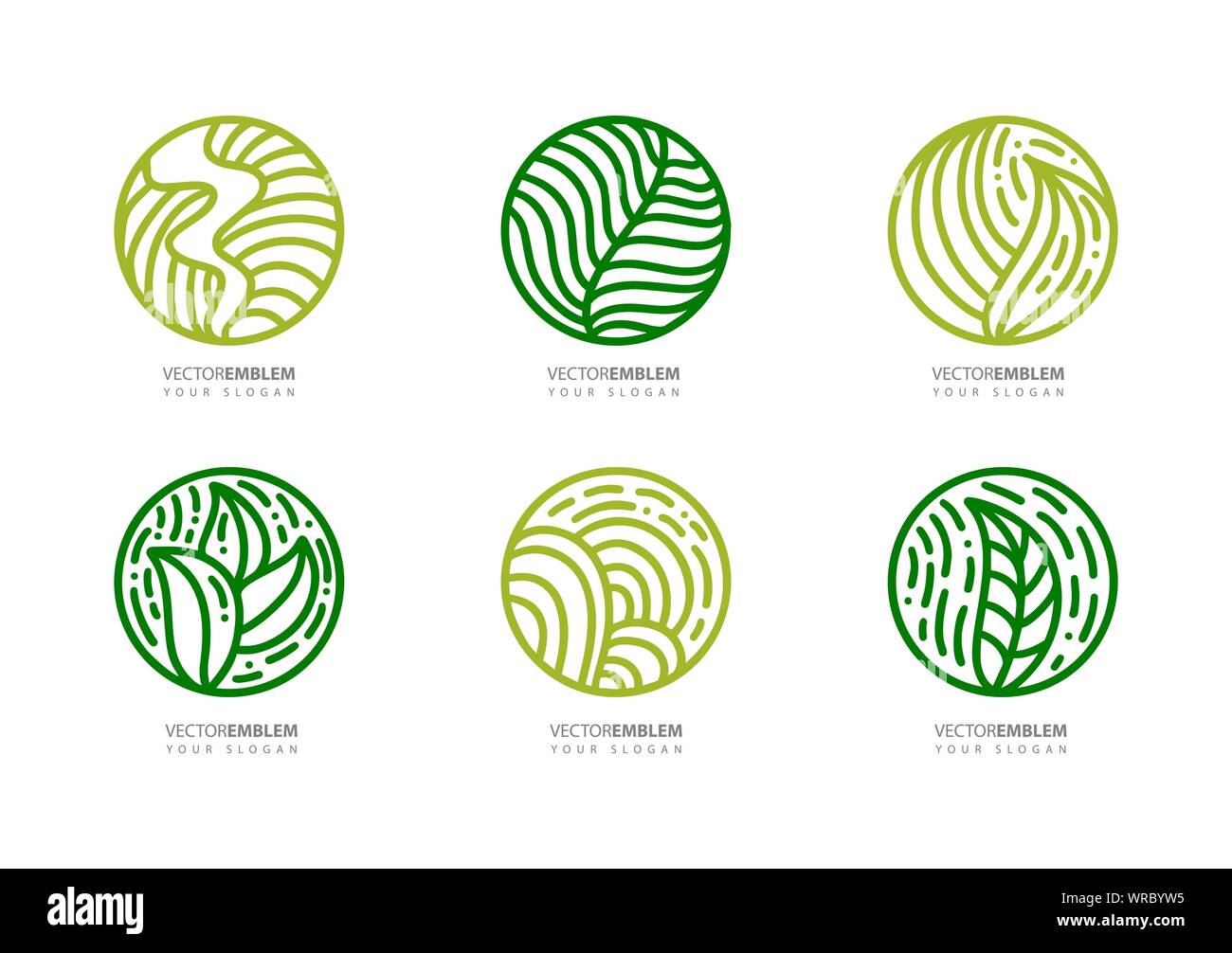 Set of round bio emblems in a circle linear style. Tropical plant green ...