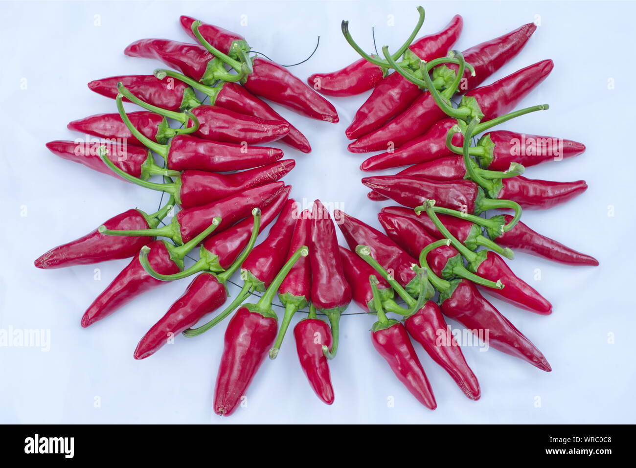 Red hot chili peppers Stock Photo - Alamy
