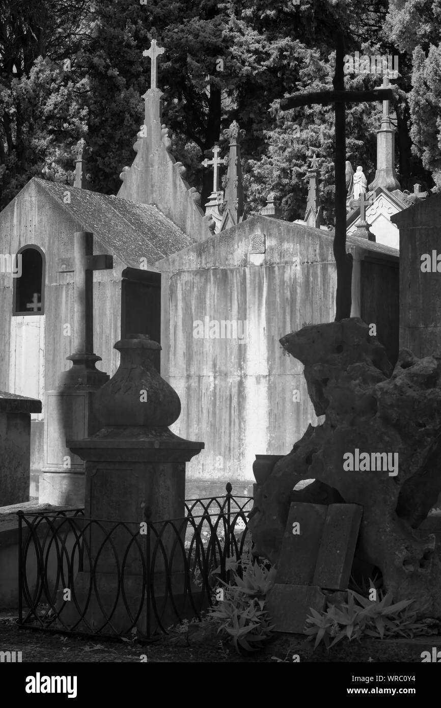 Back and white old european cemetery Stock Photo - Alamy