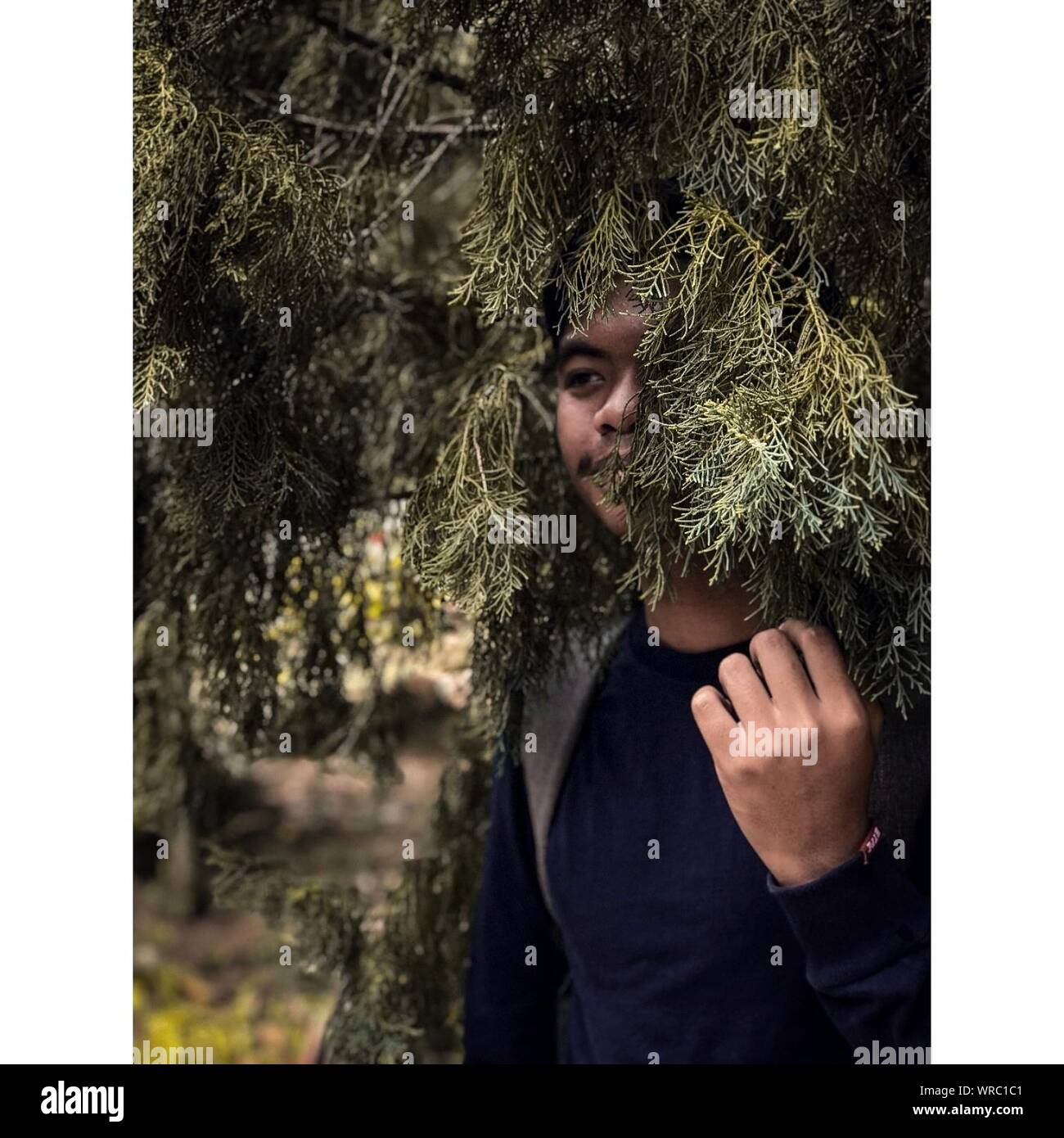 Teenage boy tree hi-res stock photography and images - Alamy