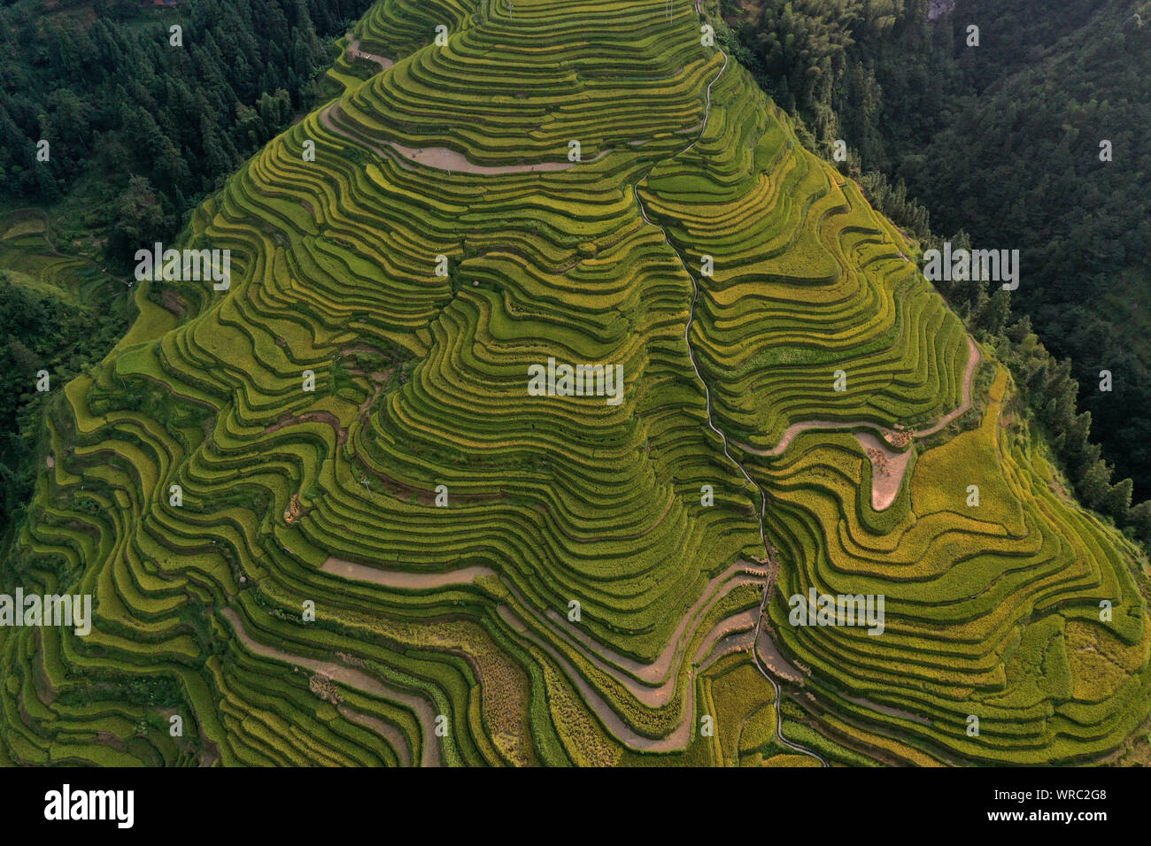 Congjiang hi-res stock photography and images - Alamy