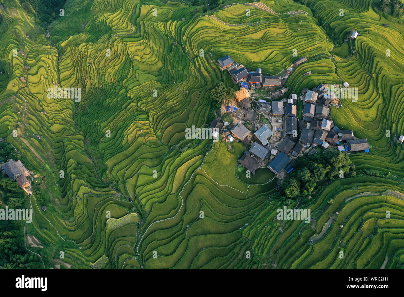 An aerial view of the Jiabang rice terraces in Congjiang County ...