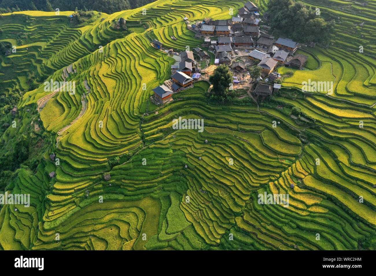 An aerial view of the Jiabang rice terraces in Congjiang County ...