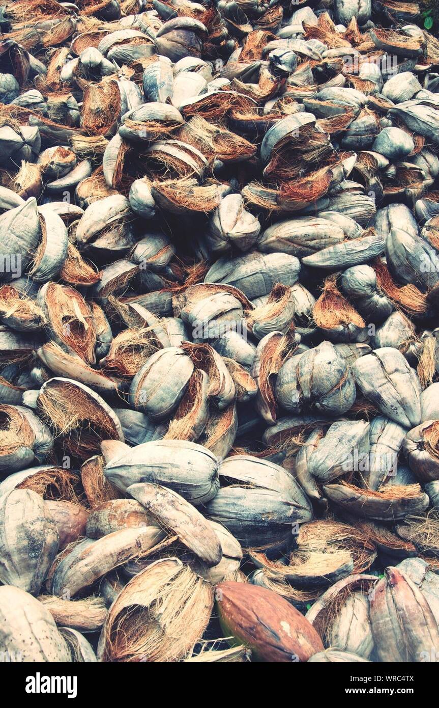 Brown coconut shells hi-res stock photography and images - Alamy