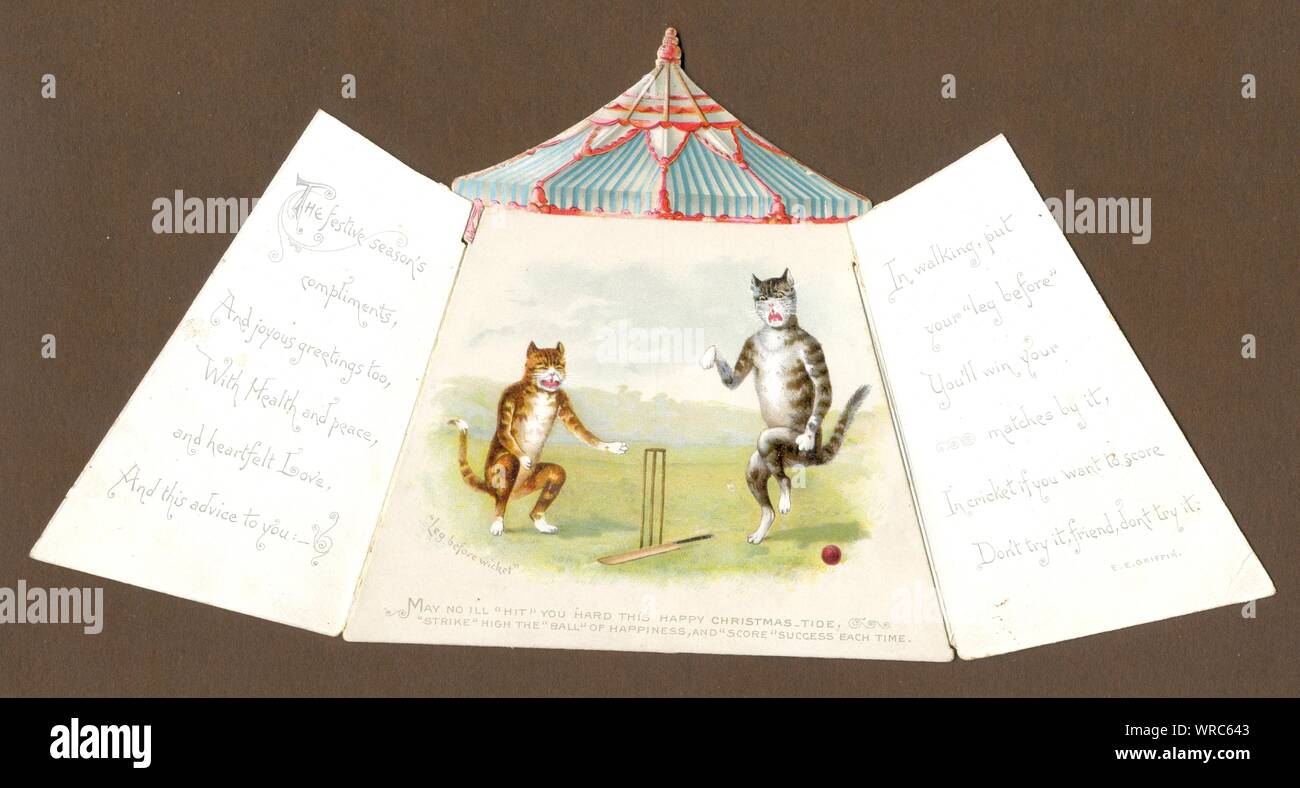 Two cats playing cricket from a folding card representing a cricket ...