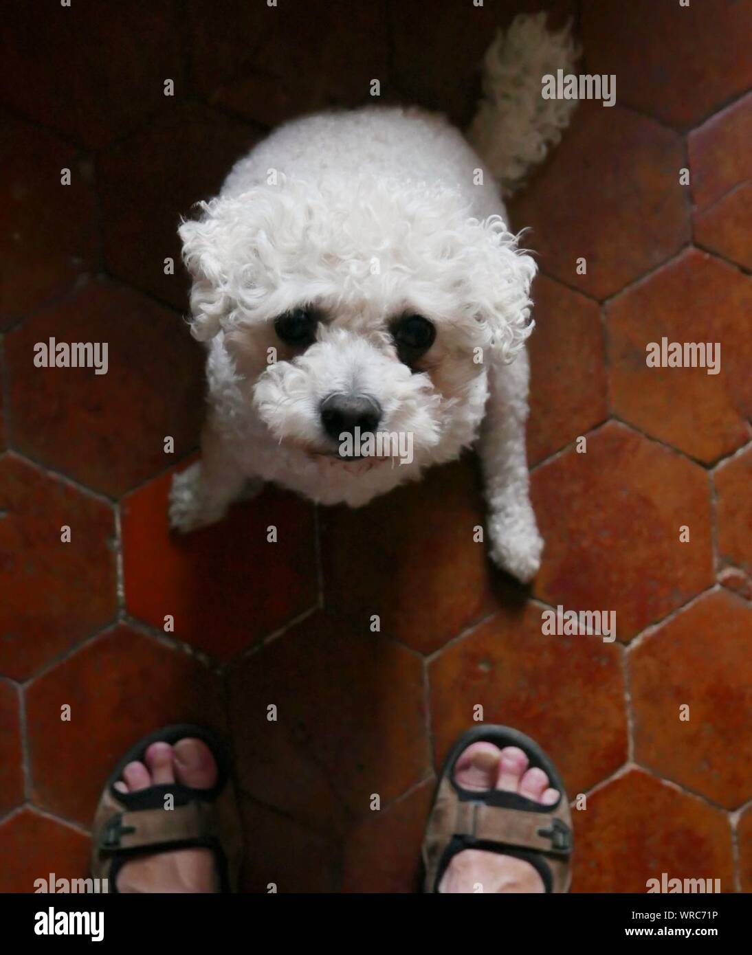 Foot in front of camera hi-res stock photography and images - Alamy