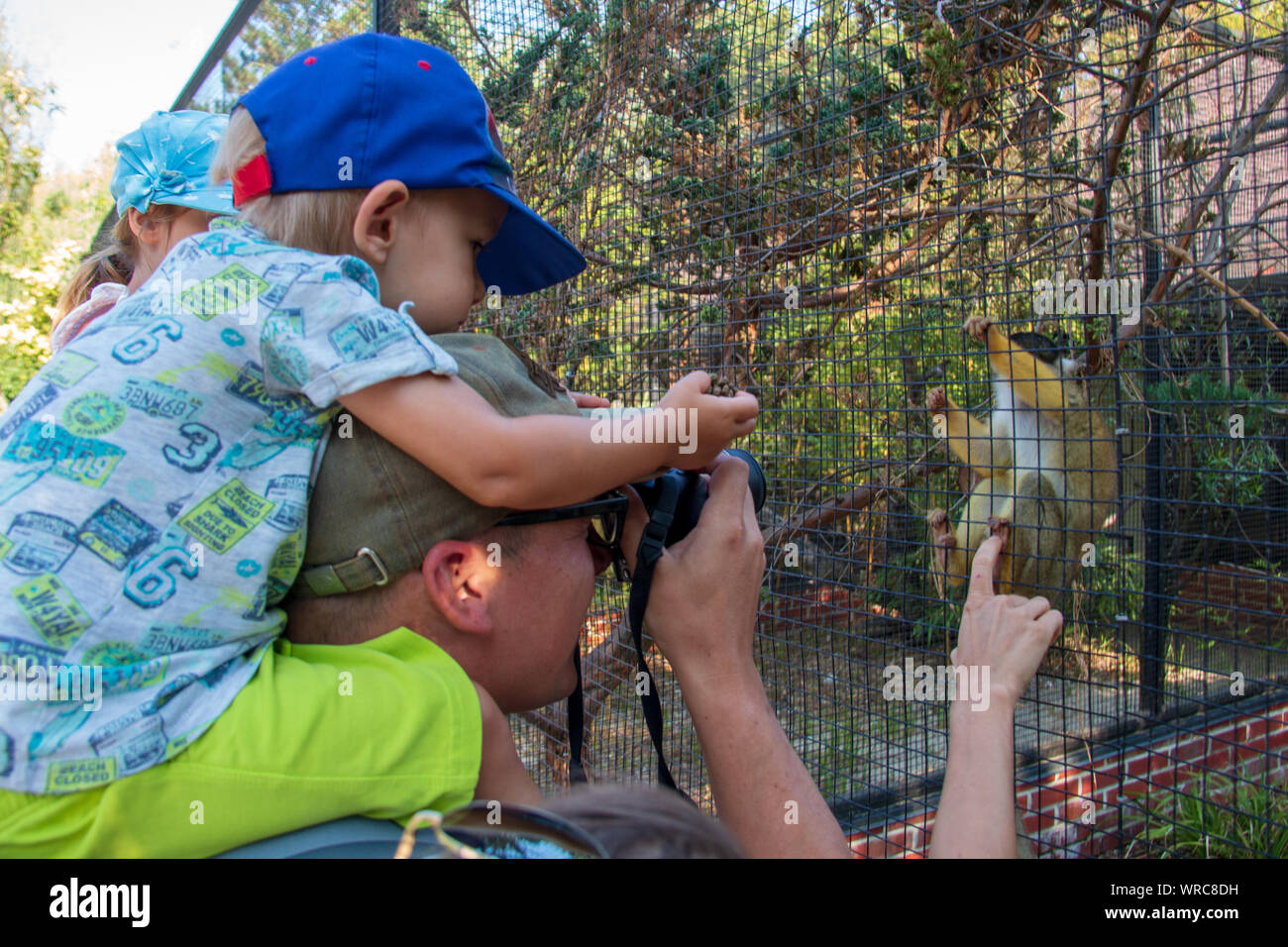 Child monkey zoo dad hi-res stock photography and images - Alamy