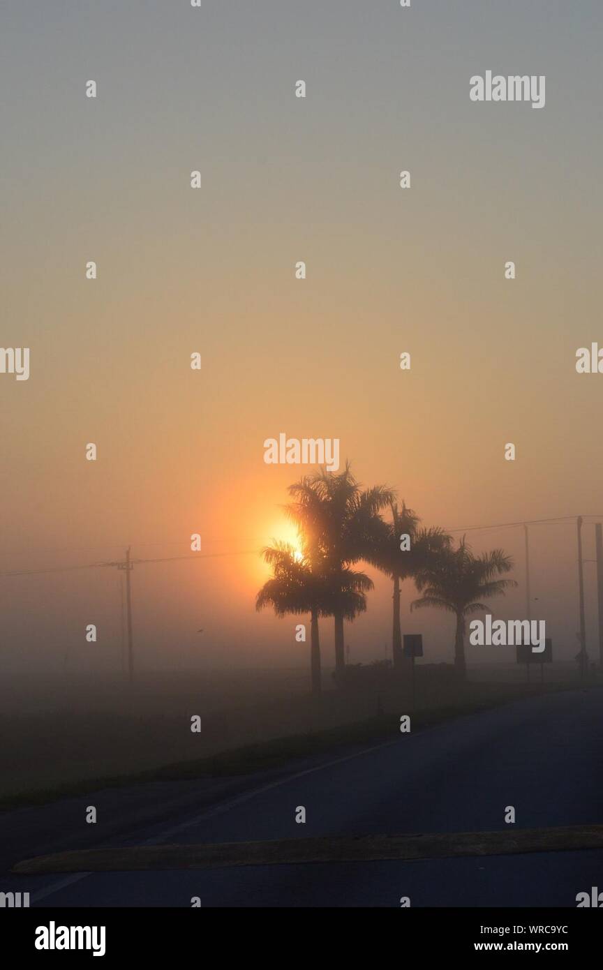 Backlit with sun hi-res stock photography and images - Alamy