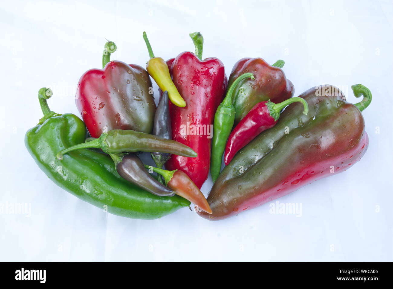 Big number of peppers with different colors Stock Photo - Alamy