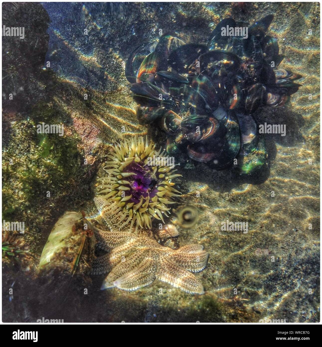 Underwater underwater underwater underwater water Cut Out Stock Images ...