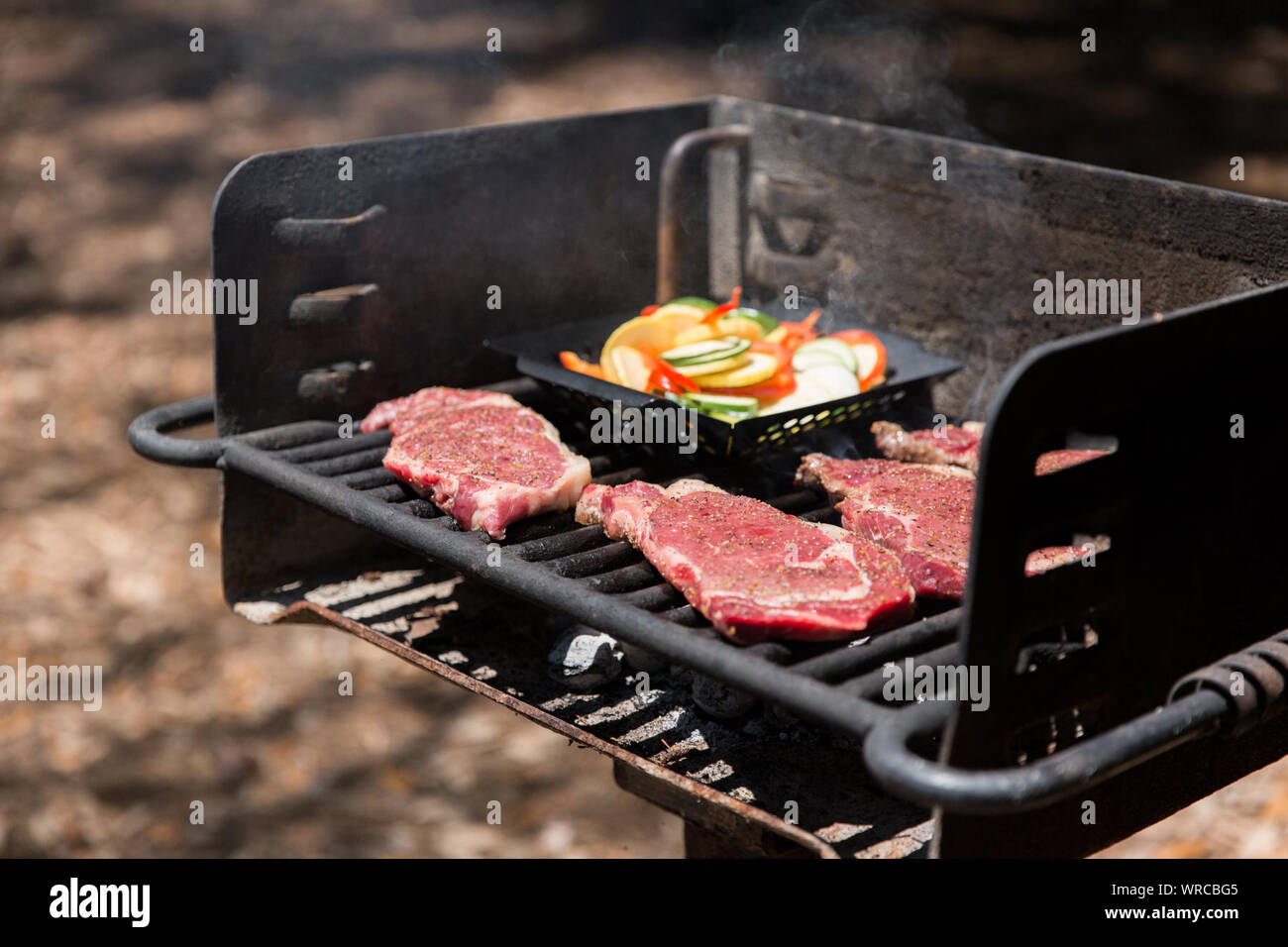 Barbeque in park hi-res stock photography and images - Alamy