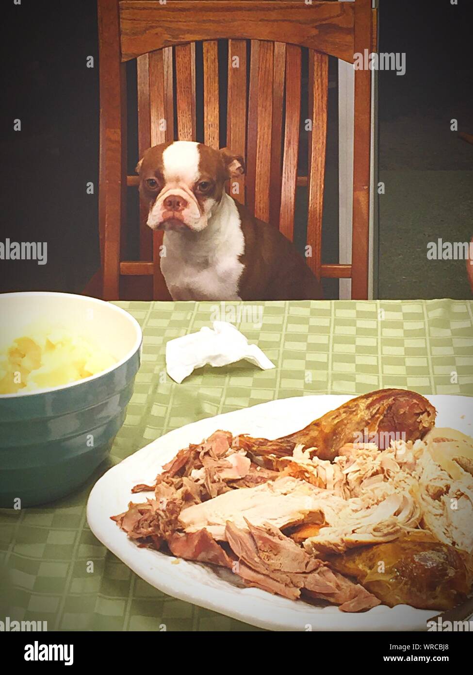 Sitting by dining table hi-res stock photography and images - Alamy