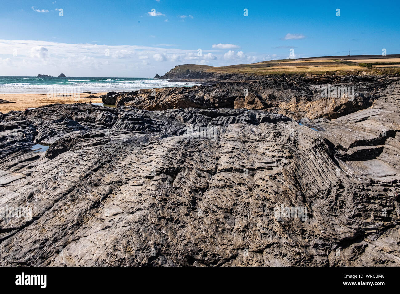 Boobys bay hi-res stock photography and images - Alamy