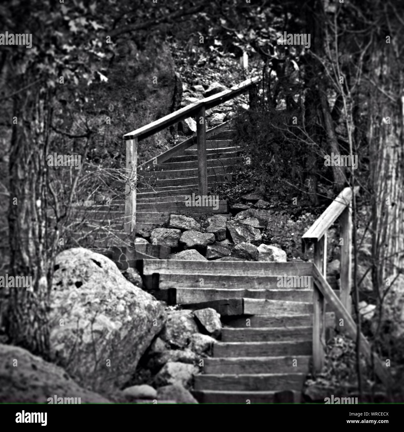 Hiking on stairs hi-res stock photography and images - Alamy
