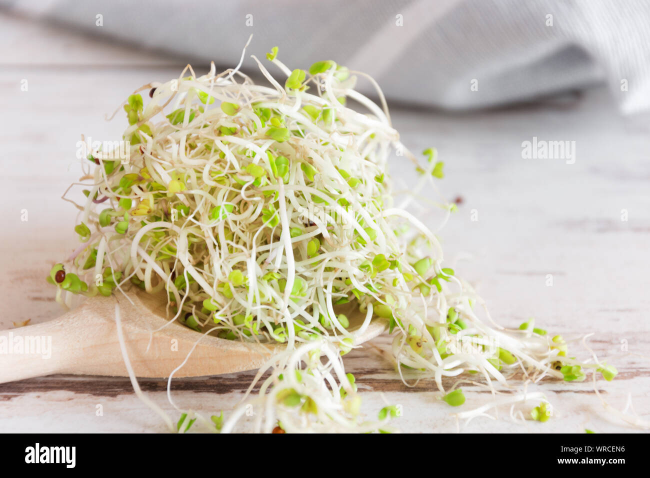 Mix of various sprouts on wooden background. Sprouted seeds. Healthy ...