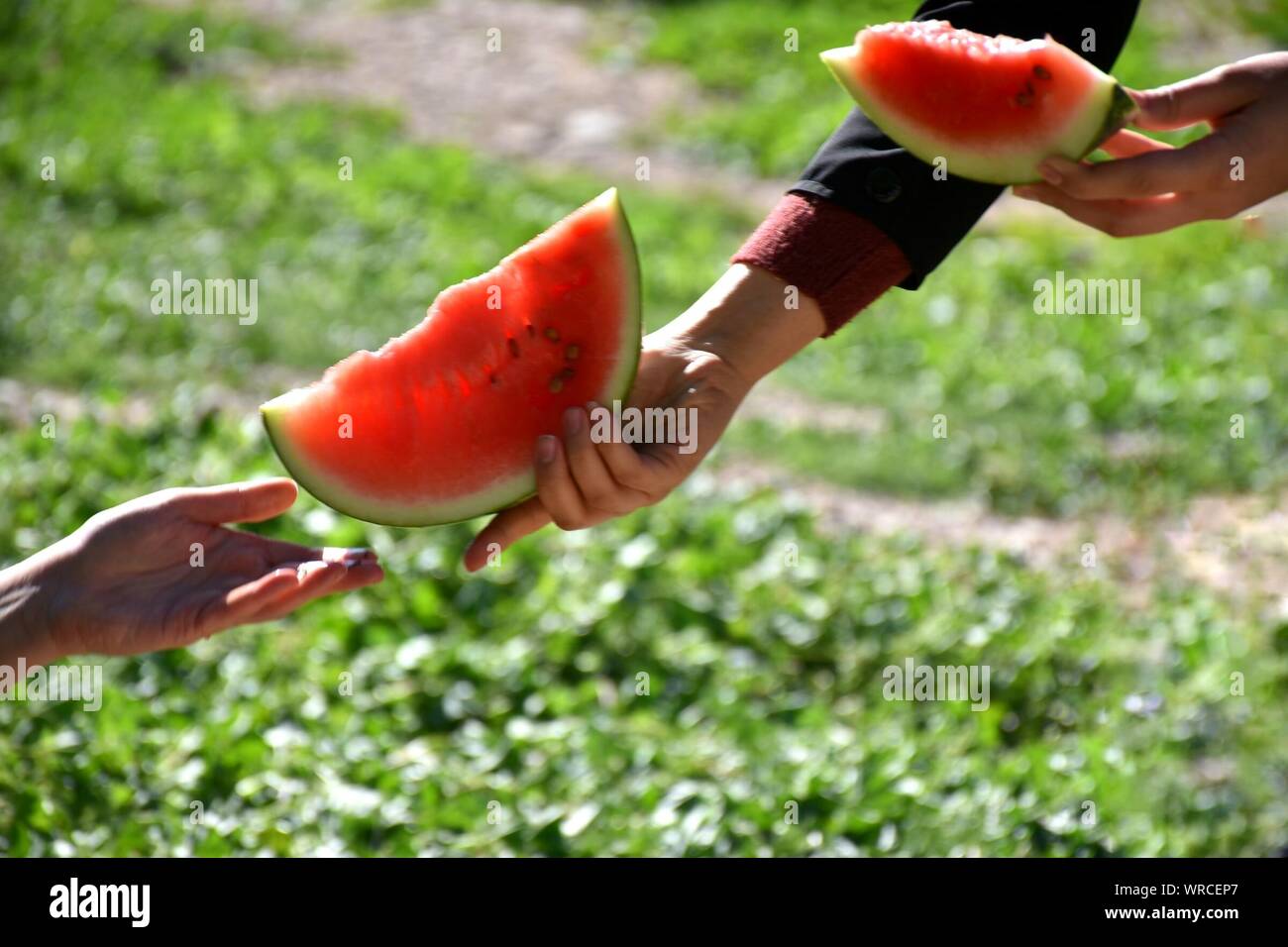 Handing over food hi-res stock photography and images - Alamy