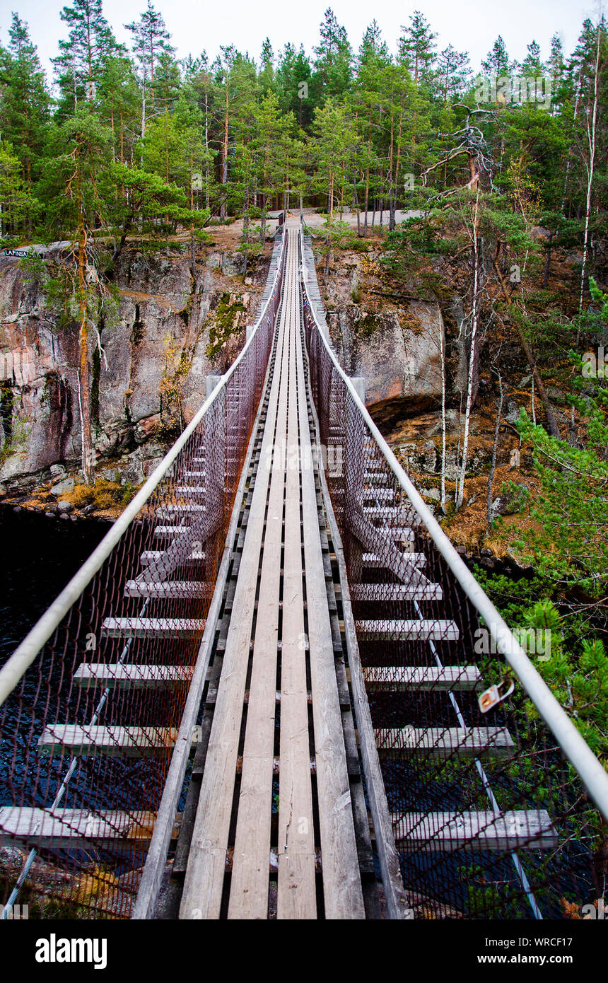 Forest rope bridge hi-res stock photography and images - Alamy