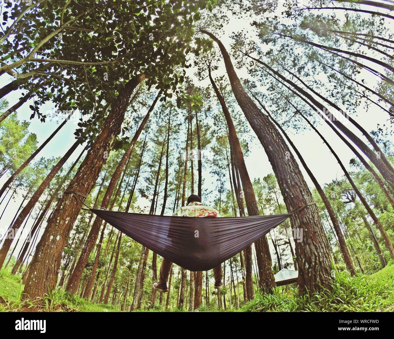 Man in hammock hi-res stock photography and images - Alamy
