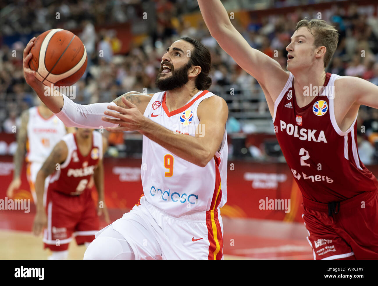 Aleksander roman balcerowski hi-res stock photography and images - Alamy