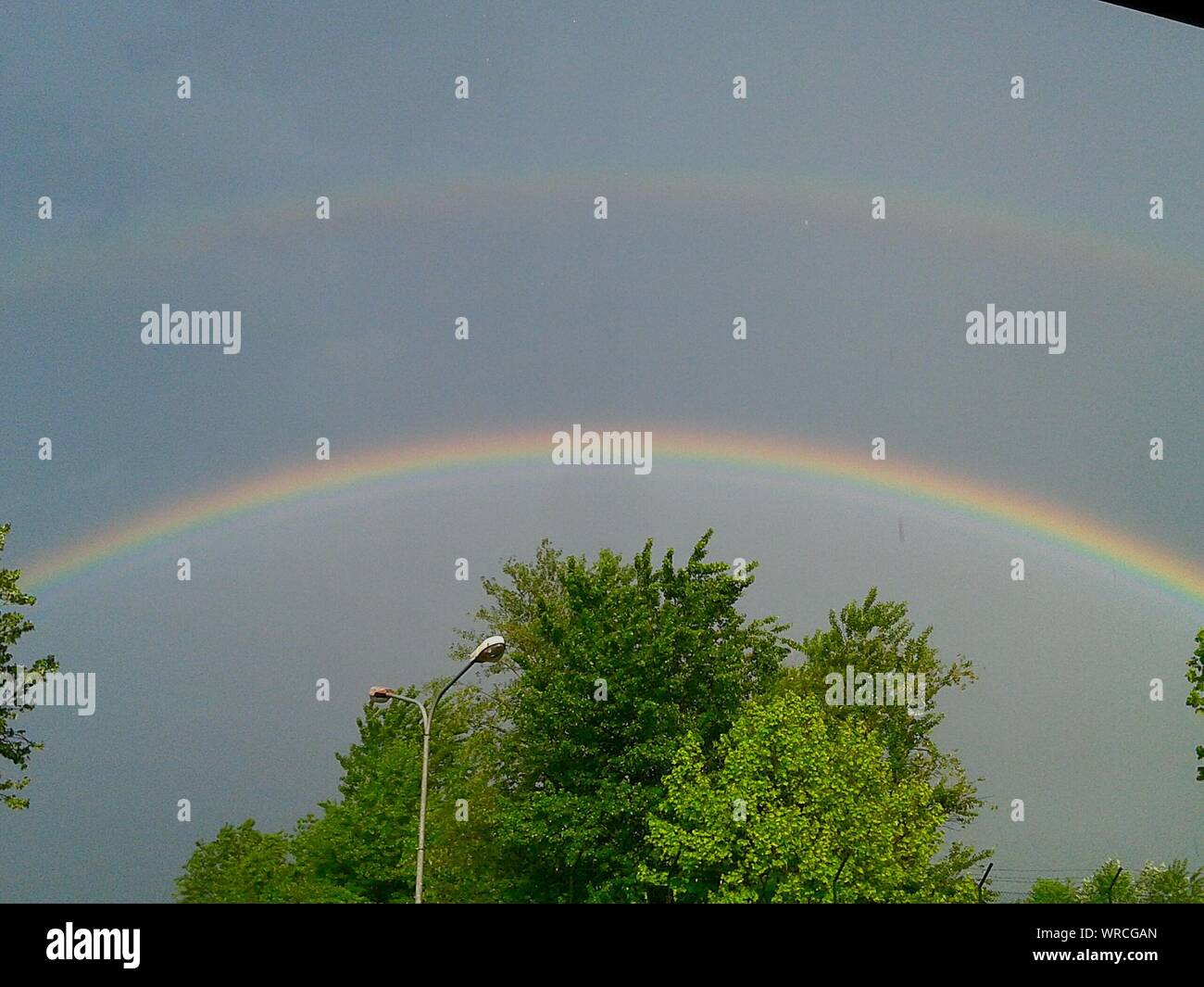 Rainbow Over Tree High Resolution Stock Photography and Images - Alamy