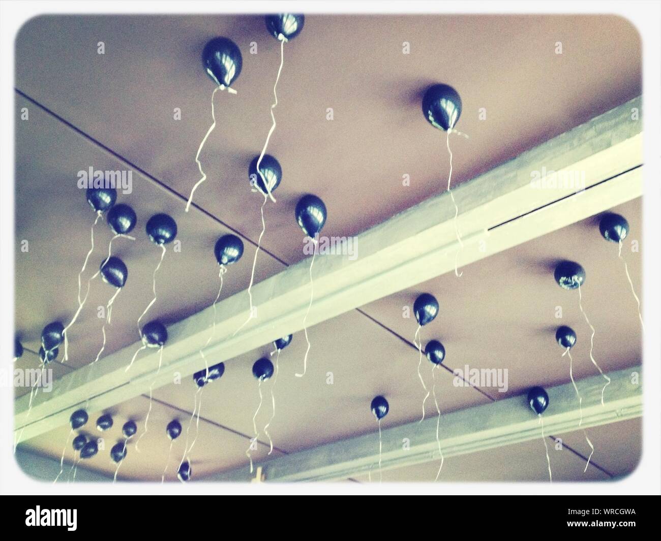 Helium balloons ceiling balloon hi-res stock photography and images - Alamy