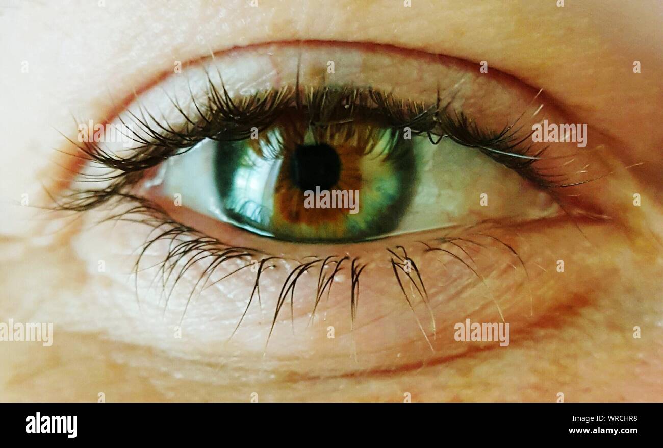 Human eye macro hi-res stock photography and images - Alamy