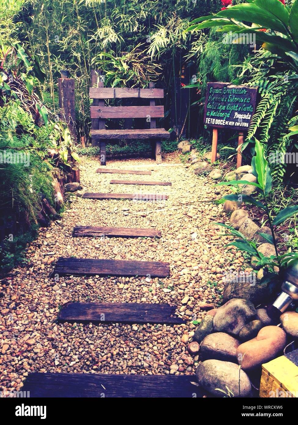 Plank wood pathway hi-res stock photography and images - Alamy